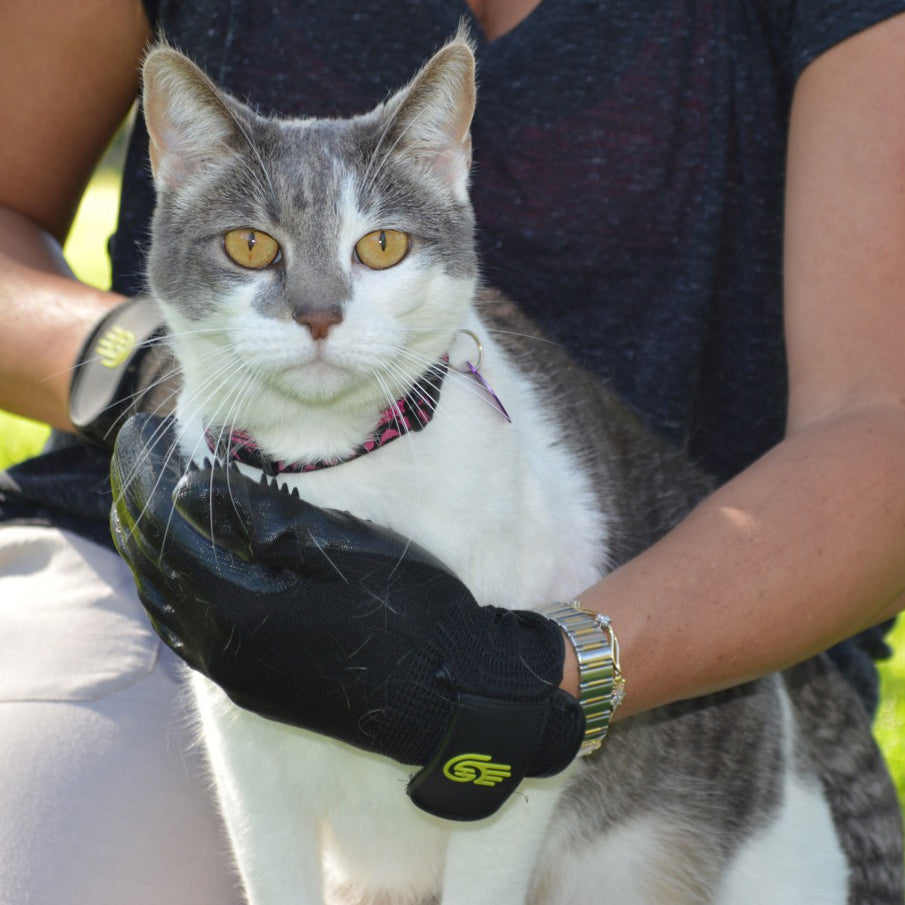HandsOn Gloves for Cats – Gentle Grooming for Pets – HandsOnGloves