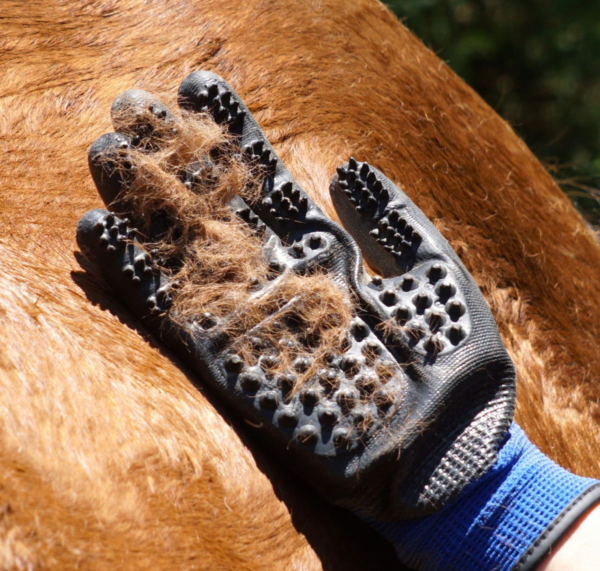HandsOn Gloves – Award-Winning Grooming Gloves – HandsOnGloves